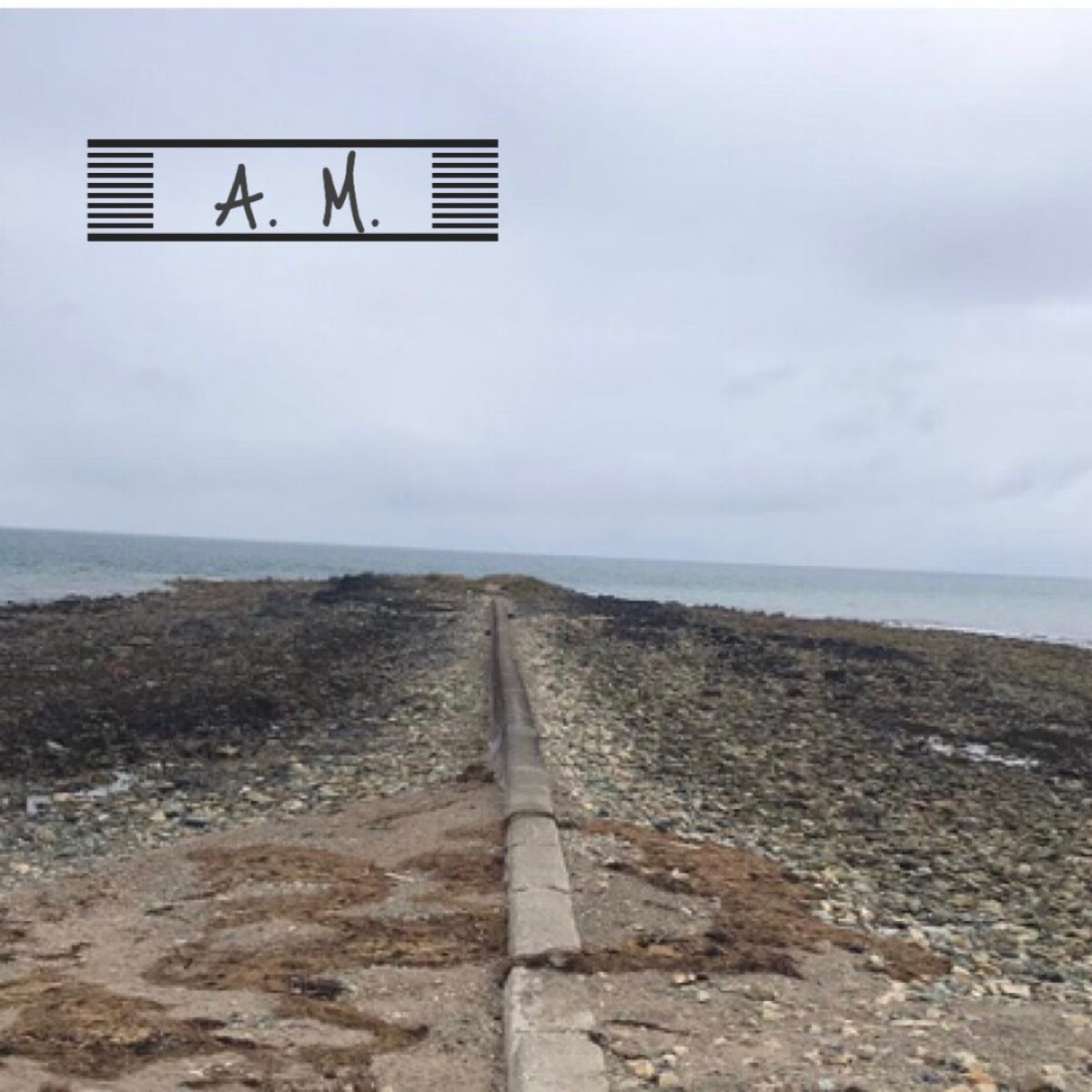 Anne Malin – Medium