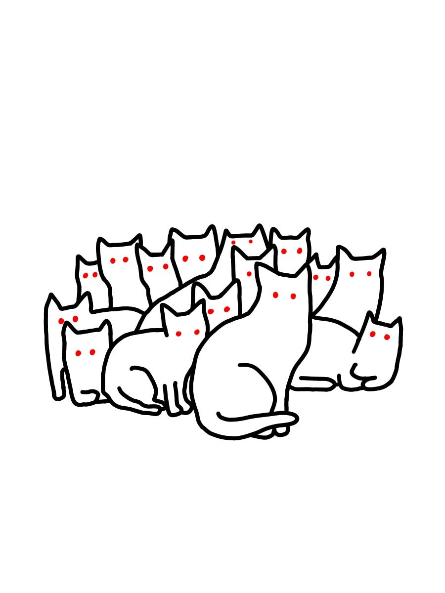 Catexia Blog – Medium