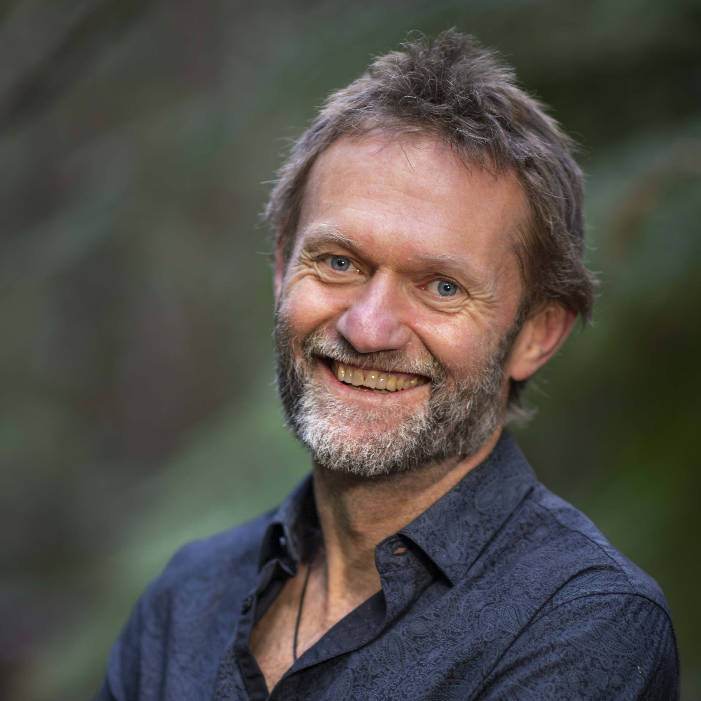 Stephen Cole – Medium