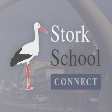 Stork School – Medium