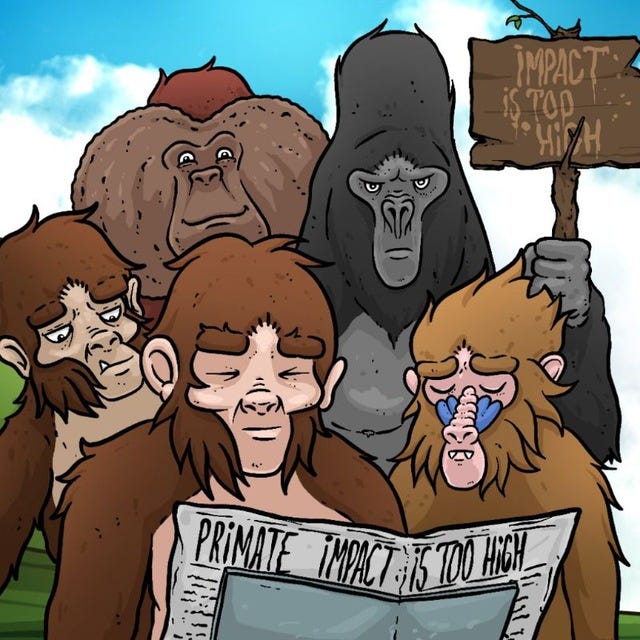 TON Monkey – Medium