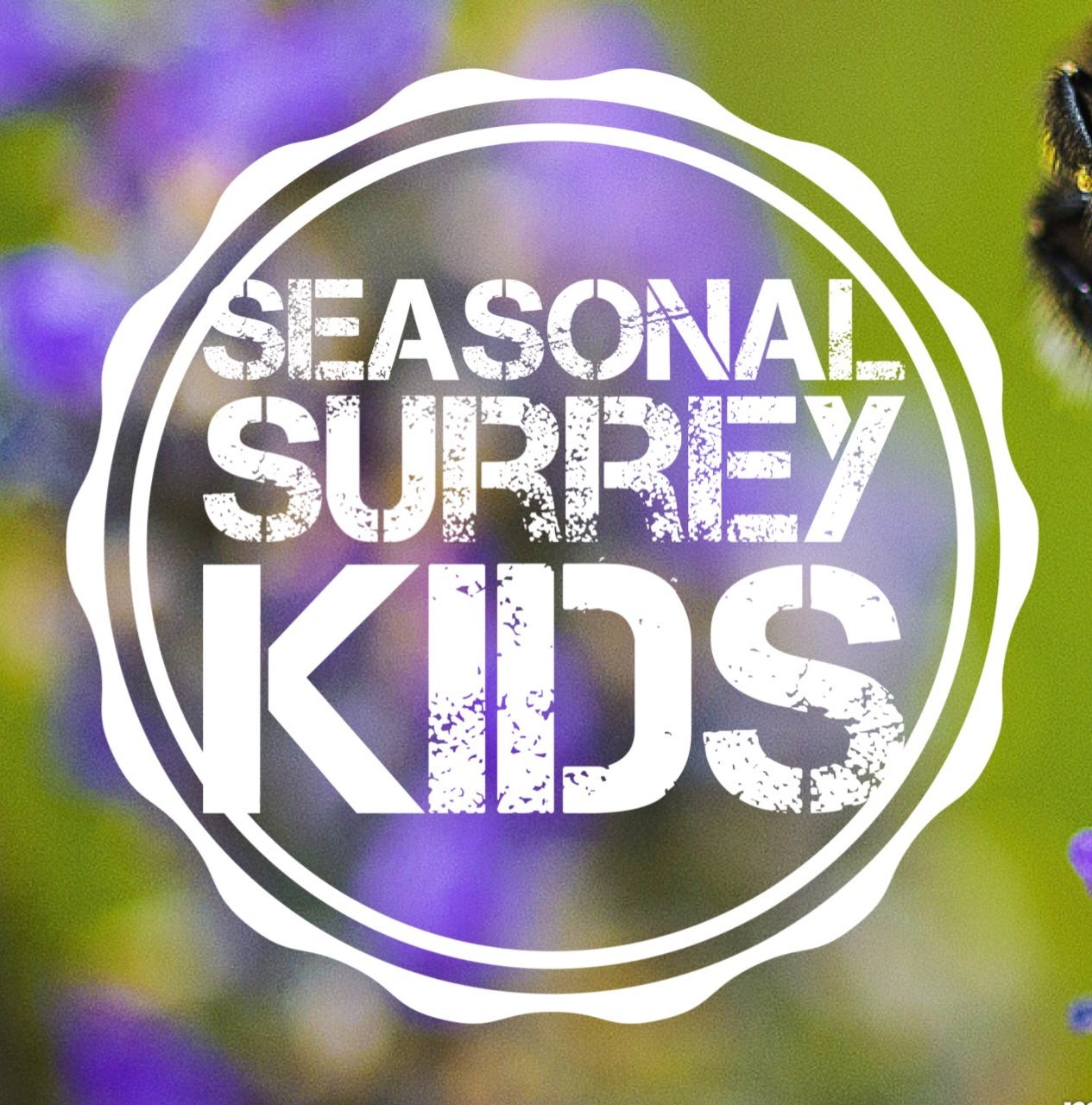 Seasonal Surrey Kids – Medium