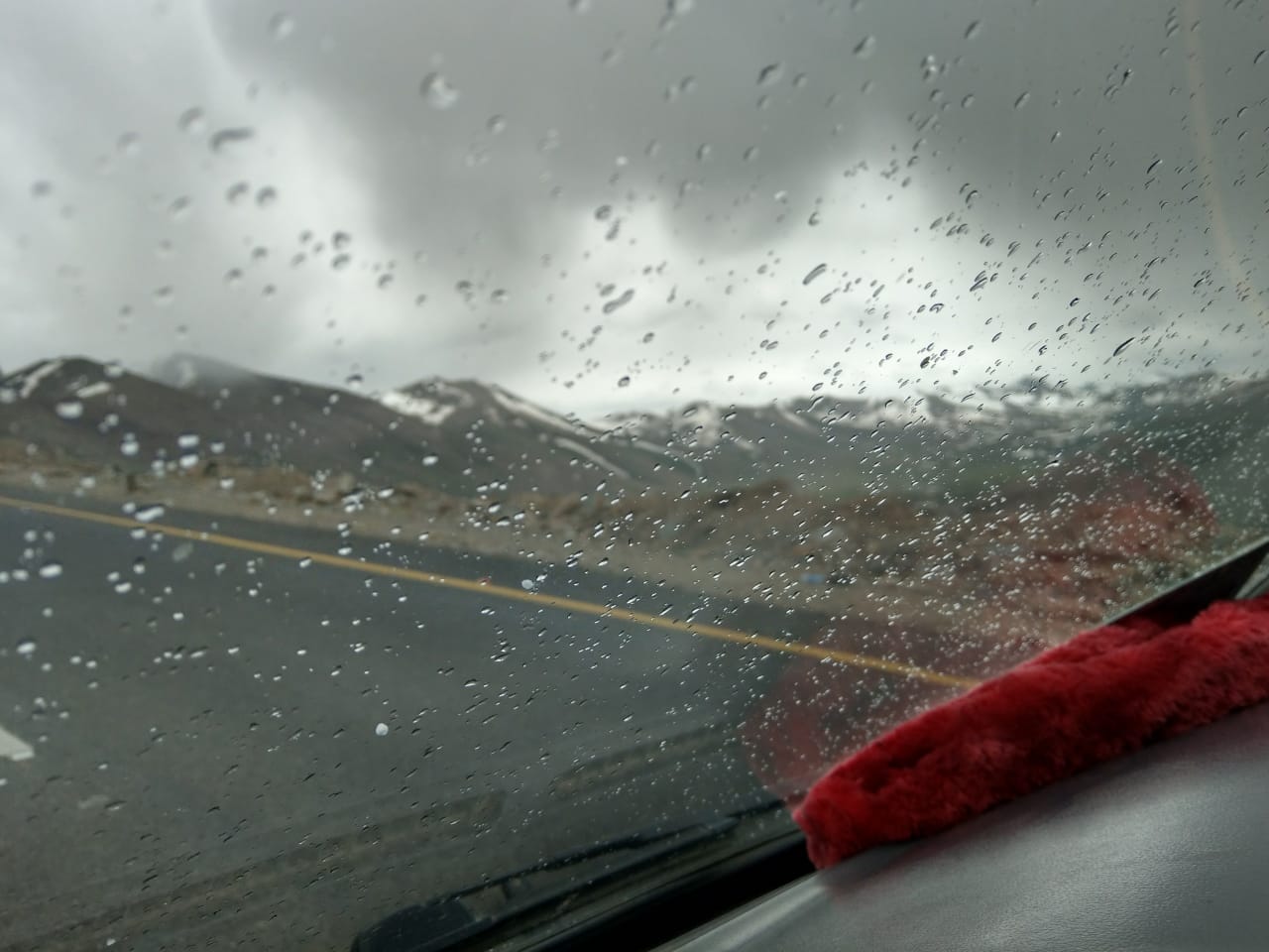 Enthusiast Reader – Medium