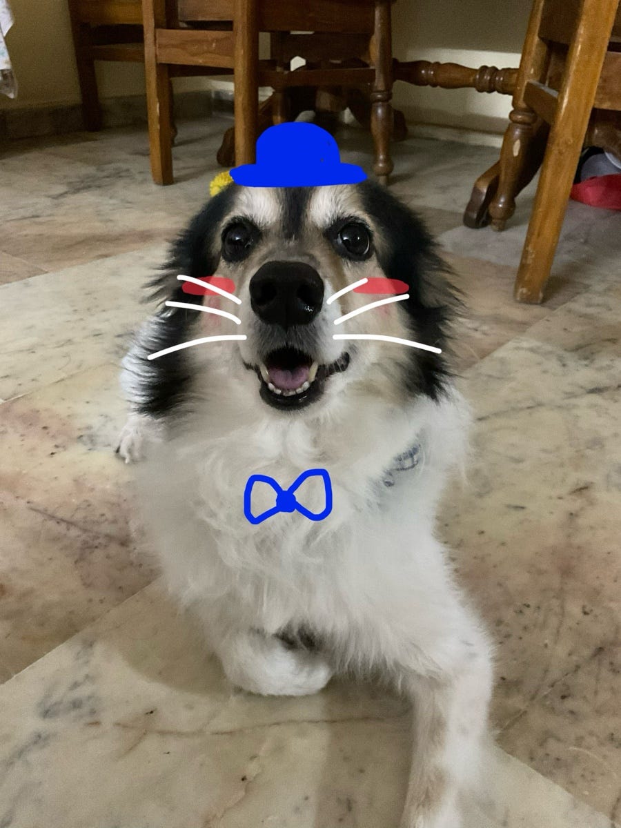 Pragnya Atluri – Medium