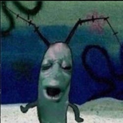 PLANKTON – Medium