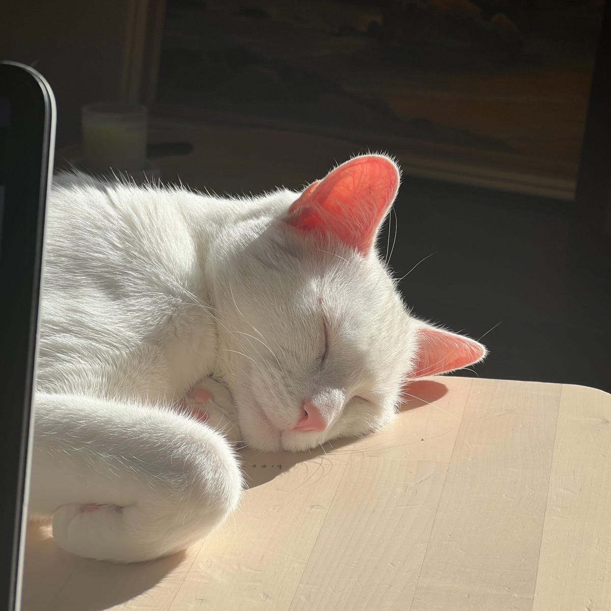 Janelleтшж On Medium Curated Some Lists