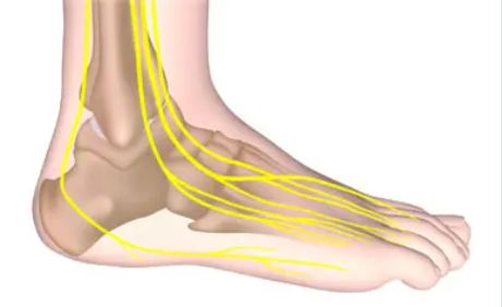 [ REVIEW ] Neuro Balance Therapy VSL Really Work? – Medium