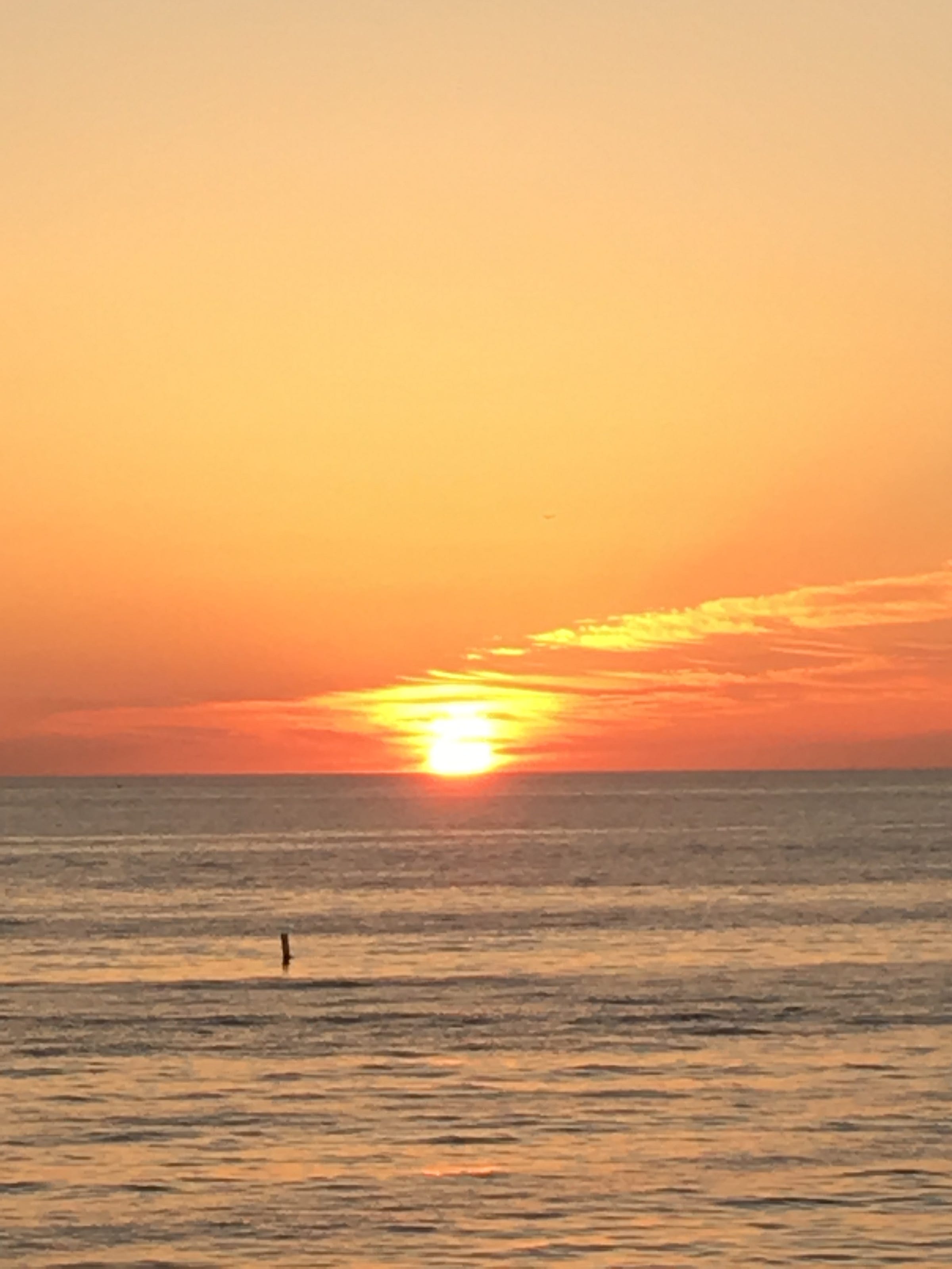 The Alternative Life Series by the UnIntended Yogi