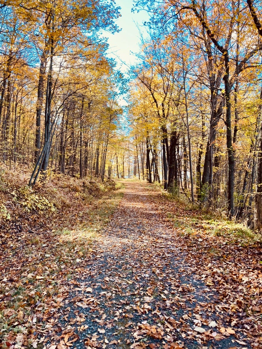 About – Anne R – Medium