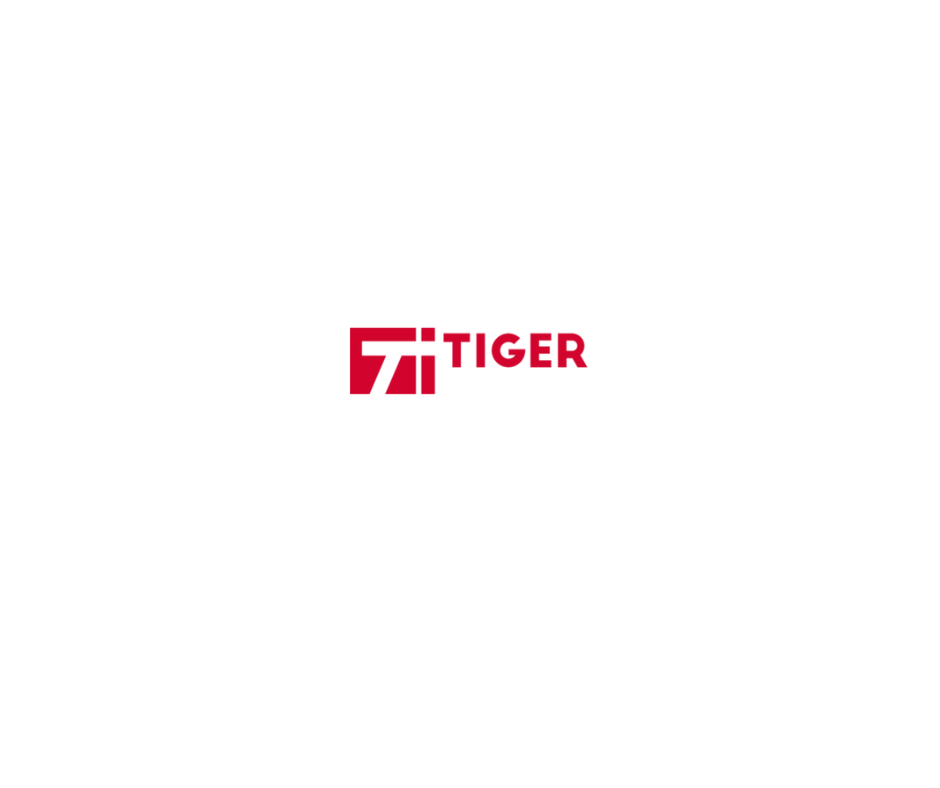 Tiger IT Solutions – Medium