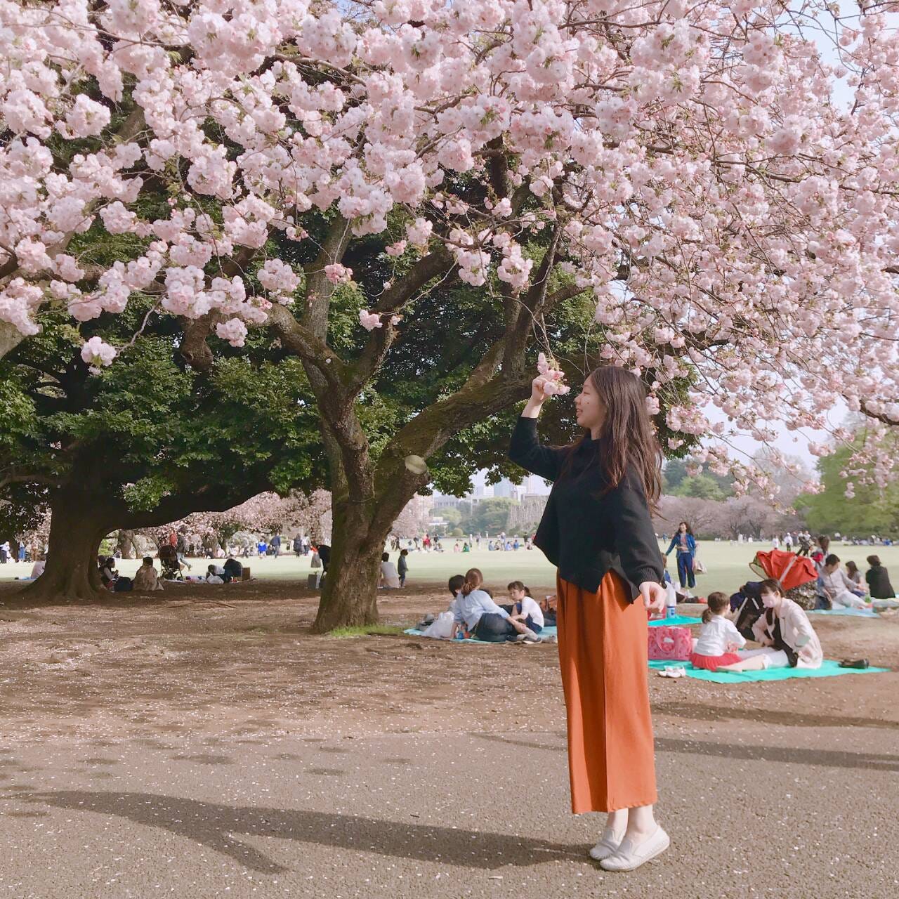 Chou WeiRu – Medium