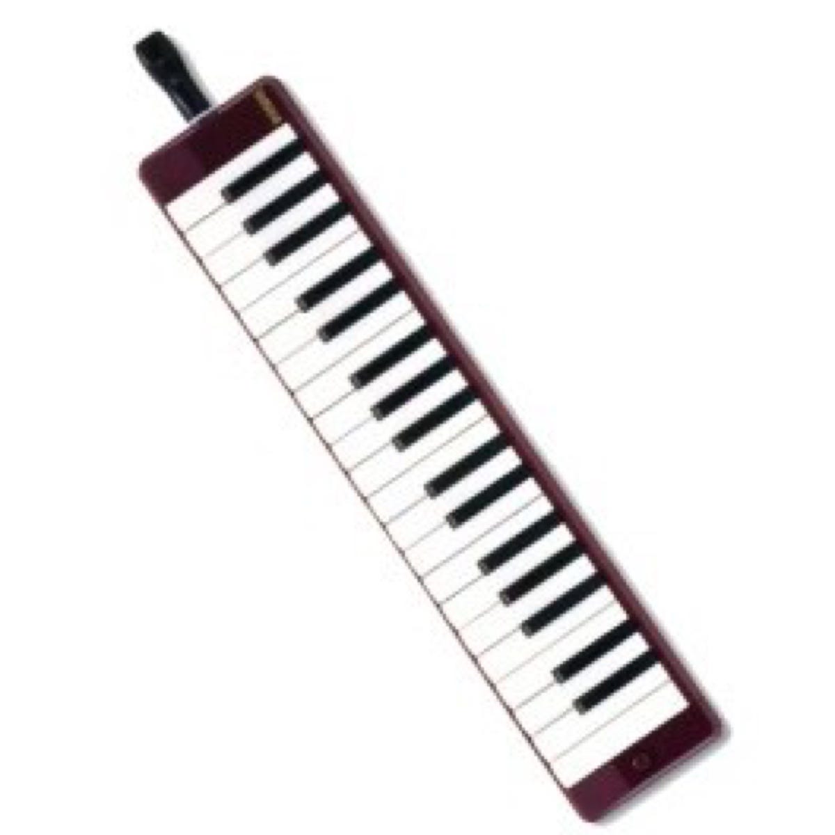 pianica p37d – Medium