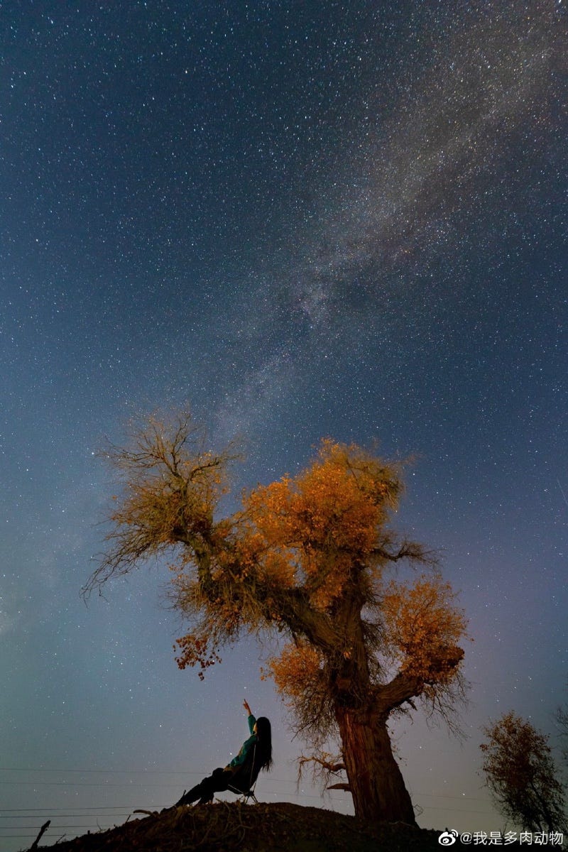 Cathy on Medium curated some lists