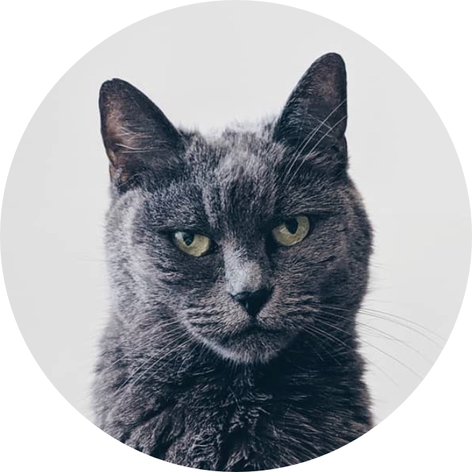 Zarniko on Medium curated some lists