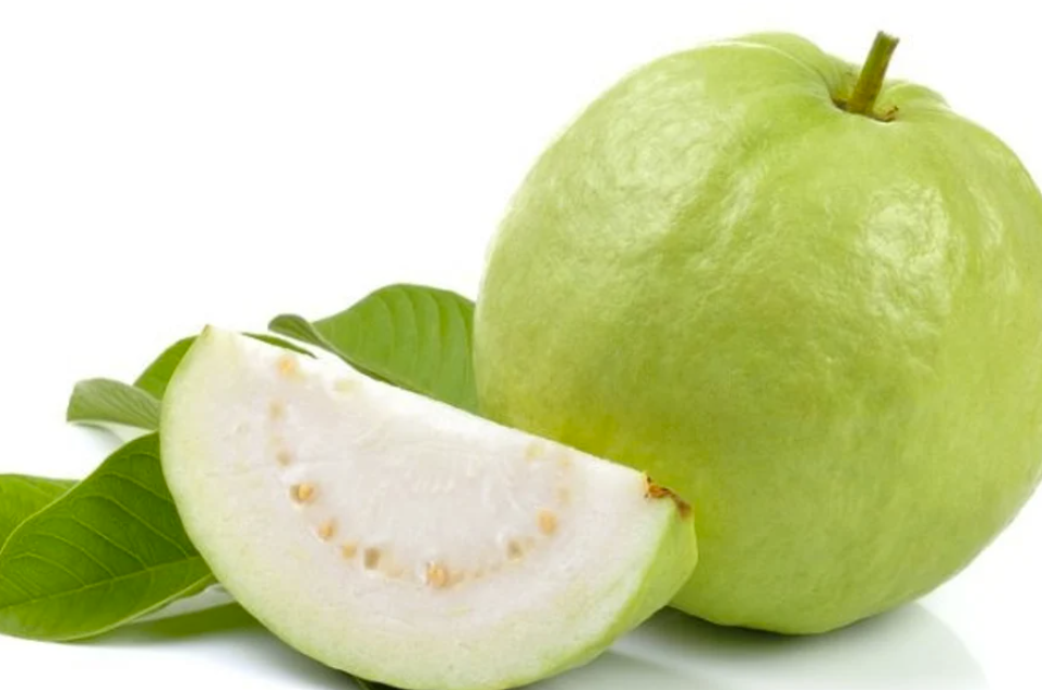 Guava – Medium