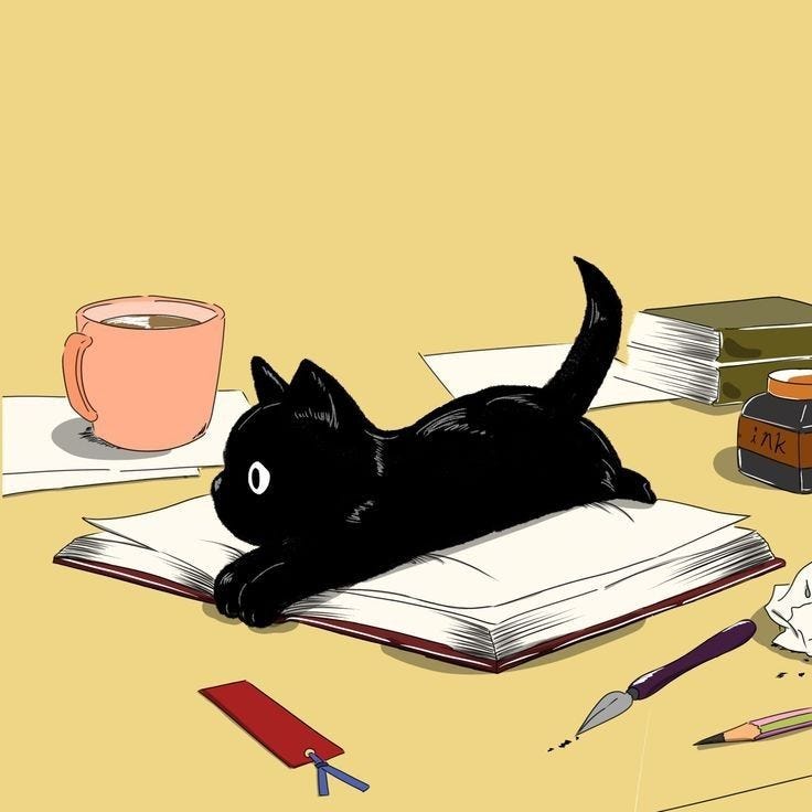 Harshita Rao – Medium