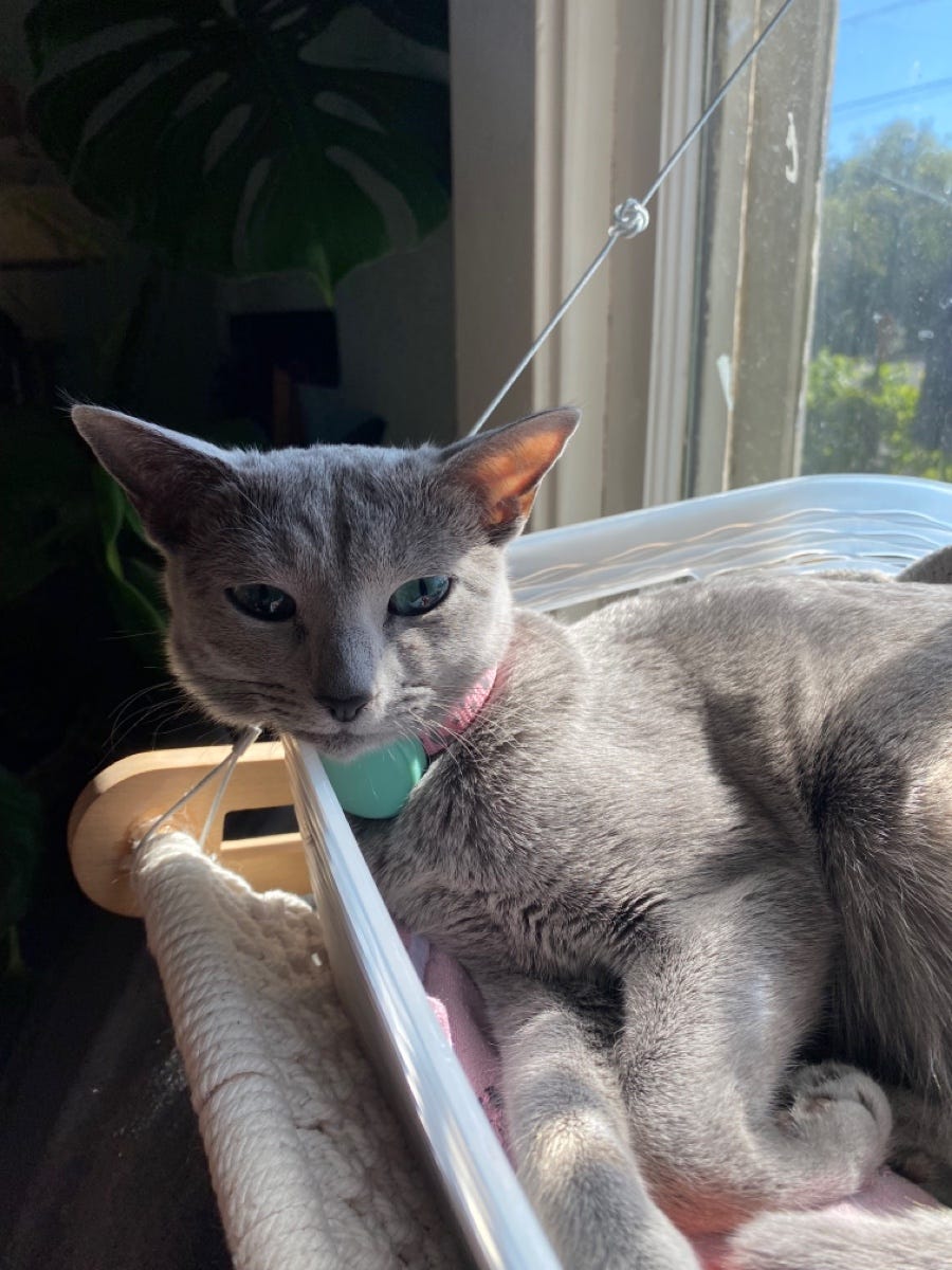 David on Medium curated some lists