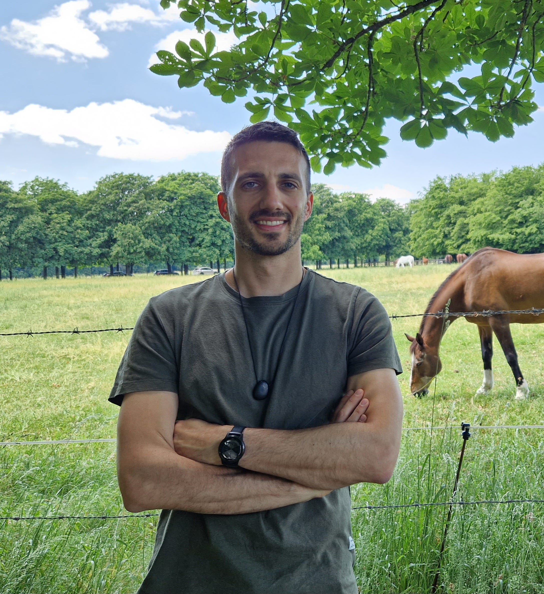 Dani Lo on Medium curated some lists