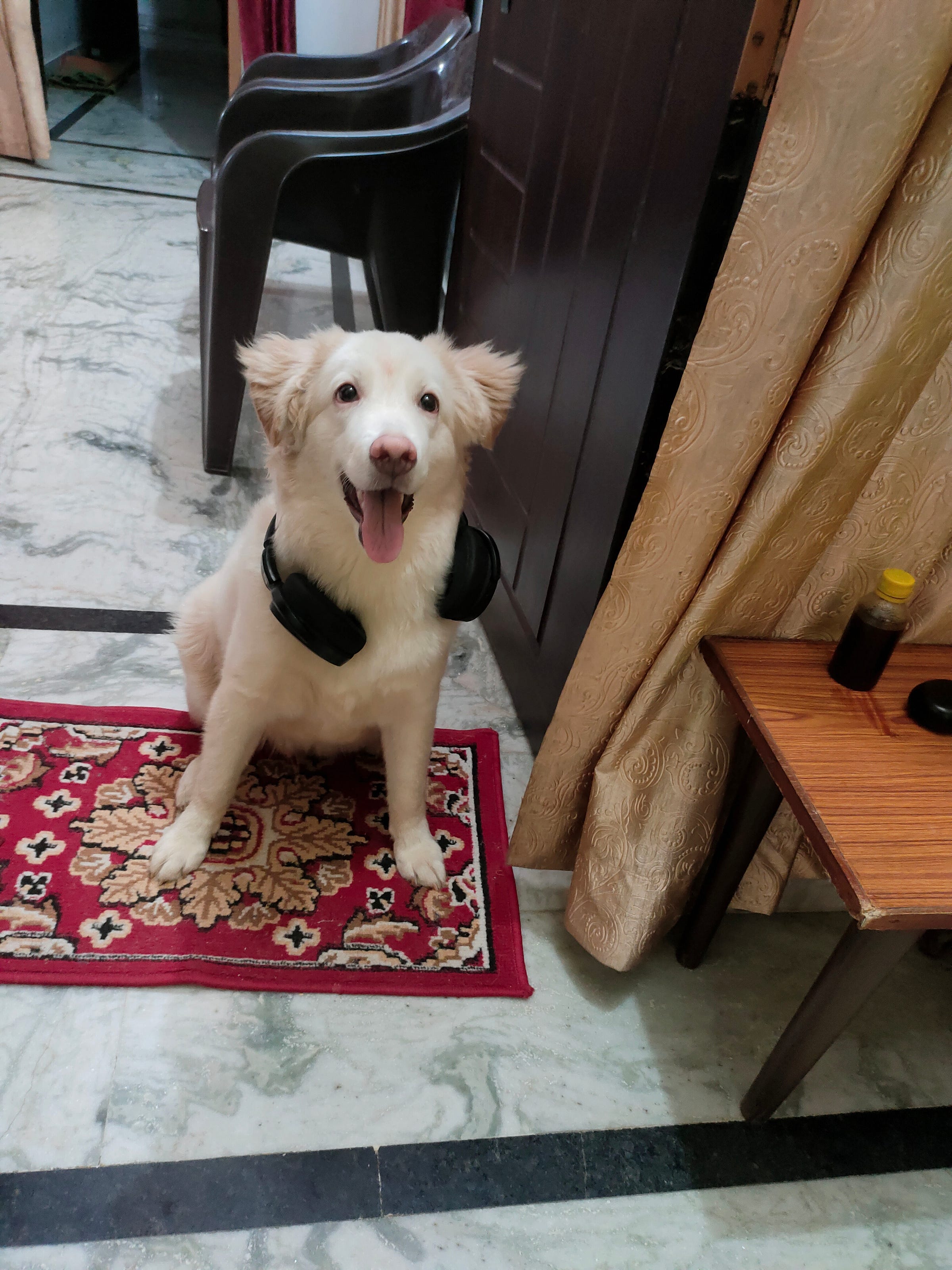 Sahil Jordan – Medium