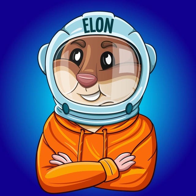 Smart Capital – Medium