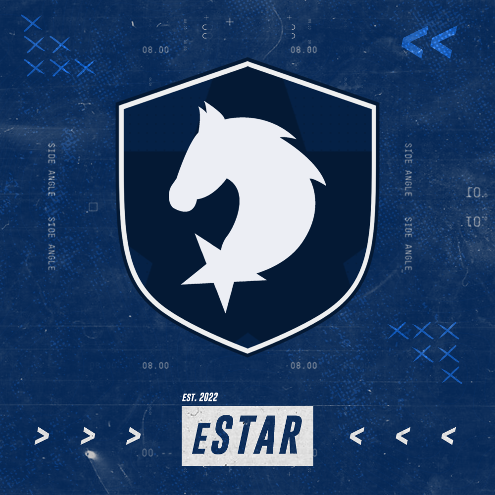 EquiStar – Medium