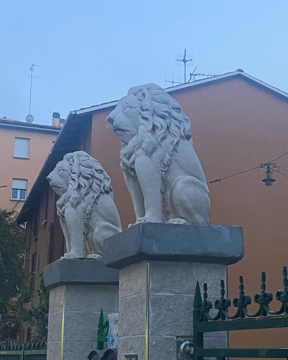 Barbara Speranza on Medium curated some lists