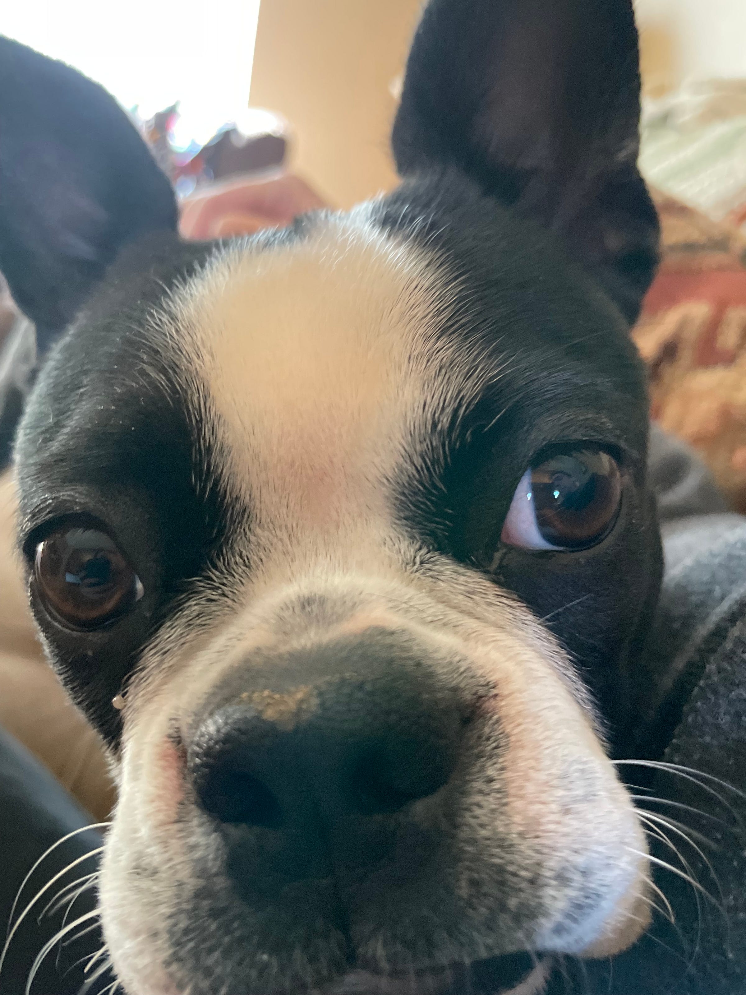 Aron Price – Medium