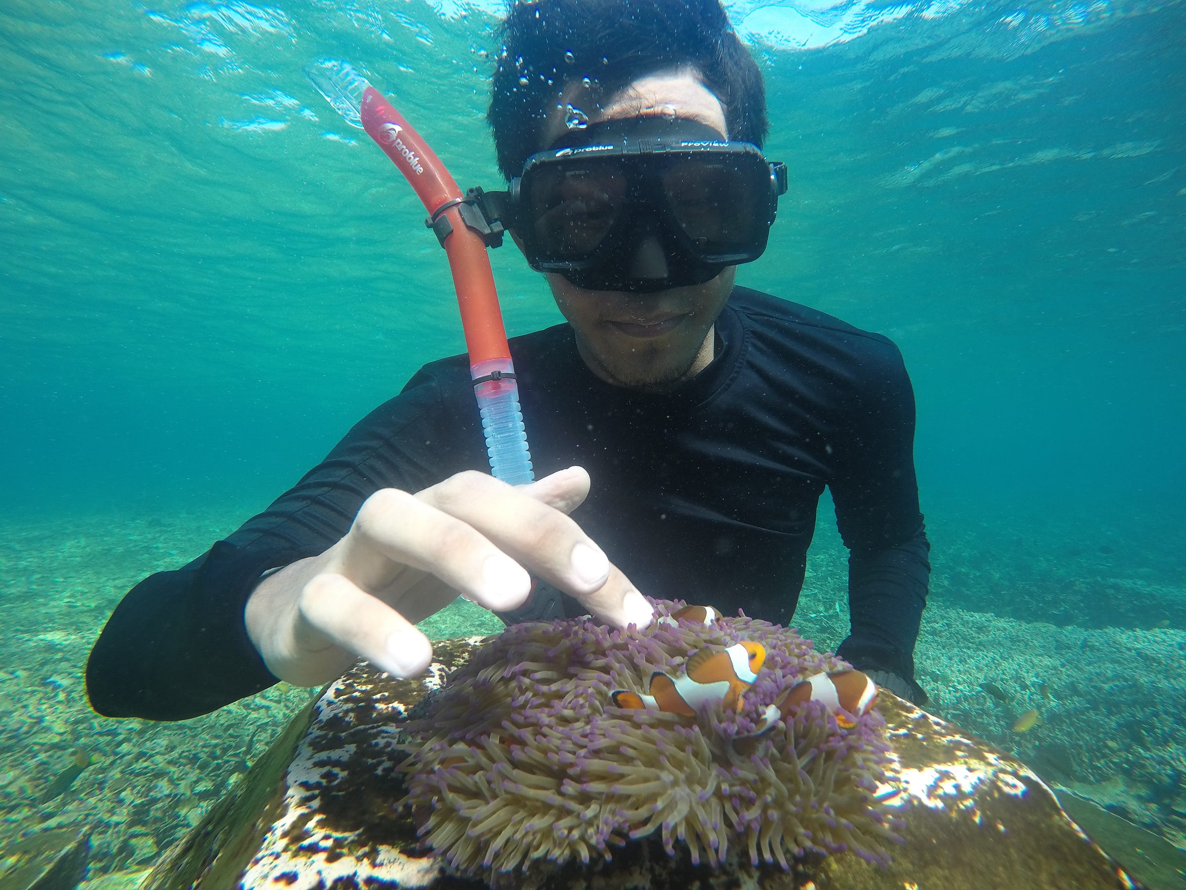 Sigit Purnomo – Medium