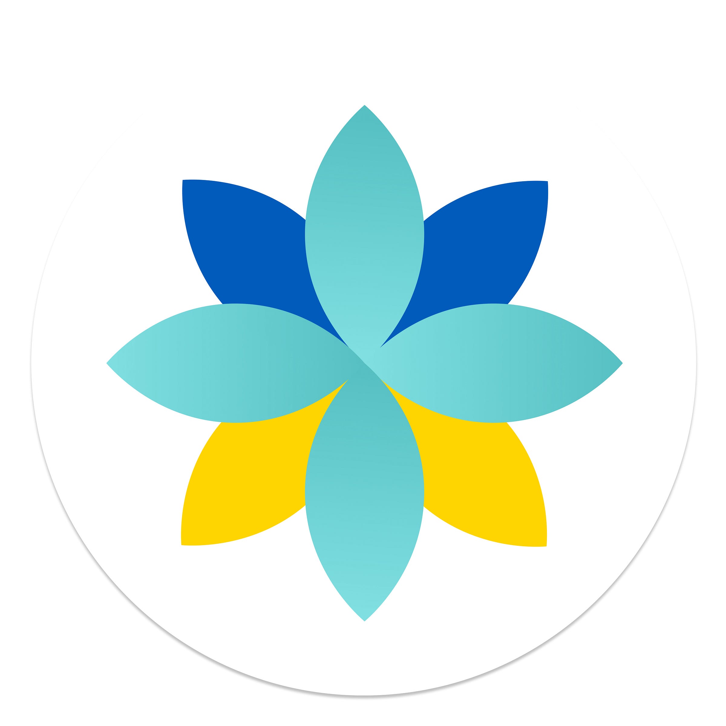 About – Balanceo App – Medium