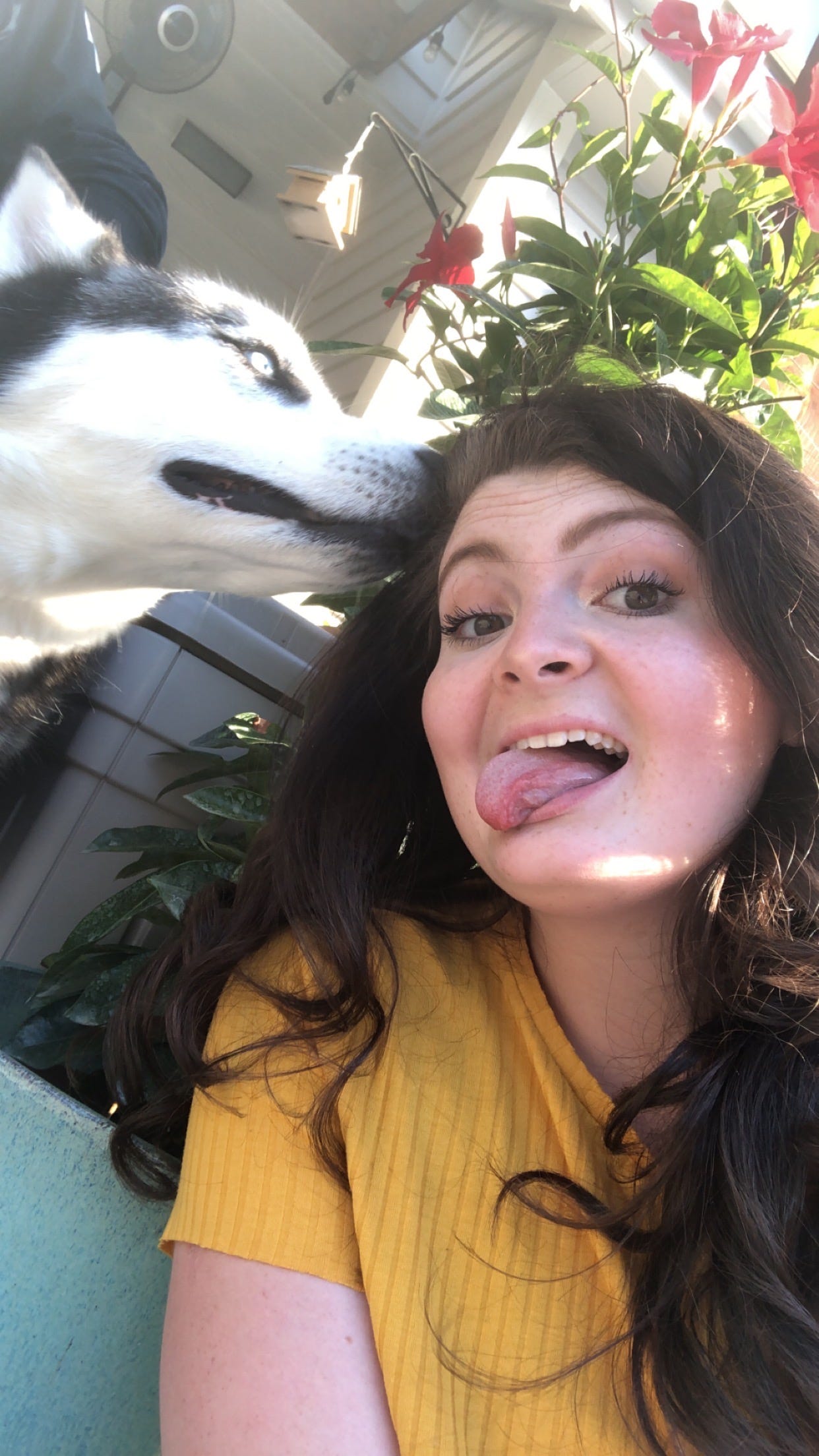 Abi Bean – Medium