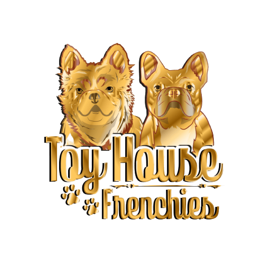 Toy House Frenchies – Medium