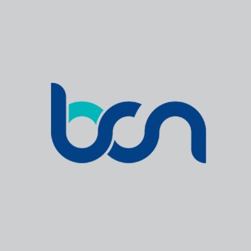 BCN Consulting – Medium