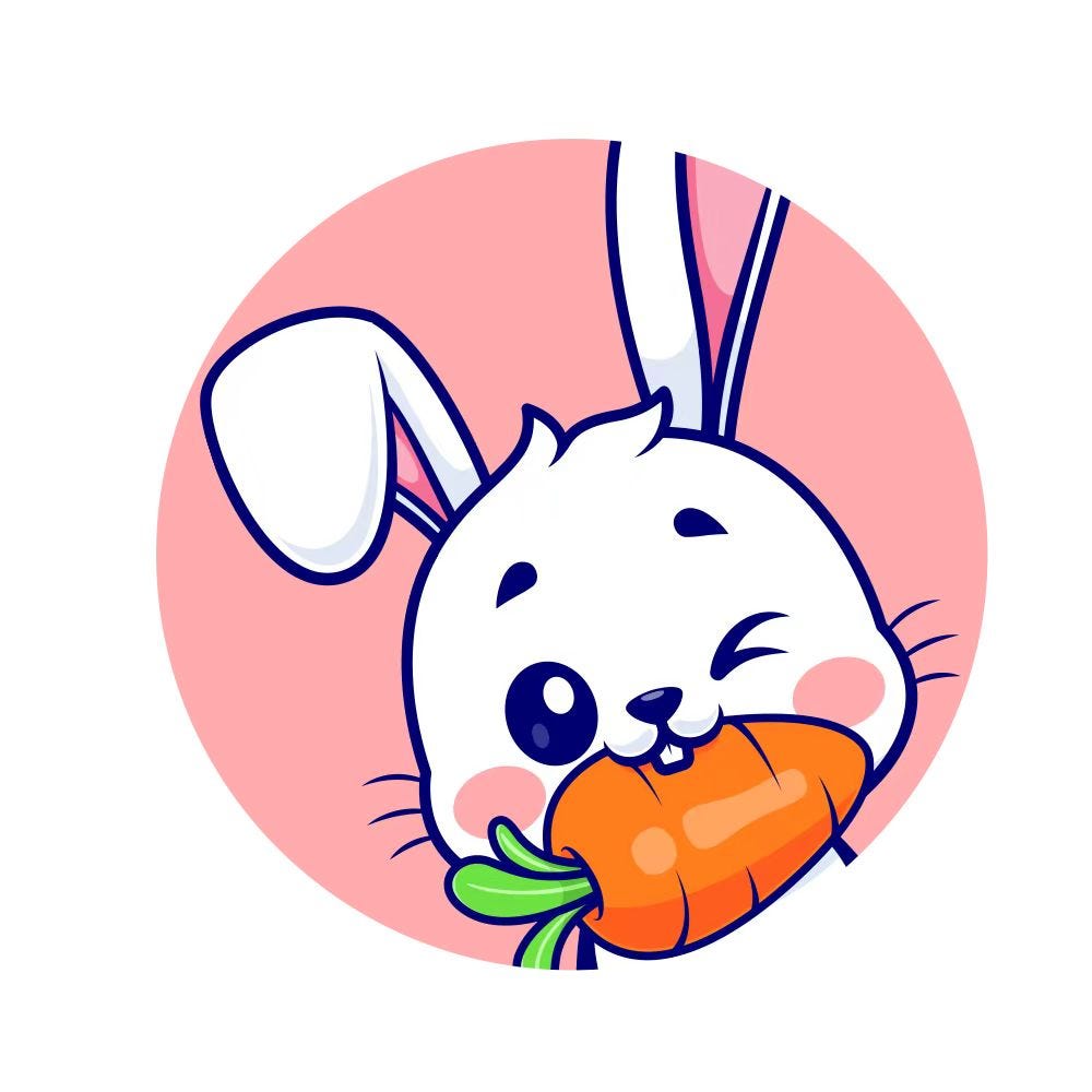 Rabbit – Medium