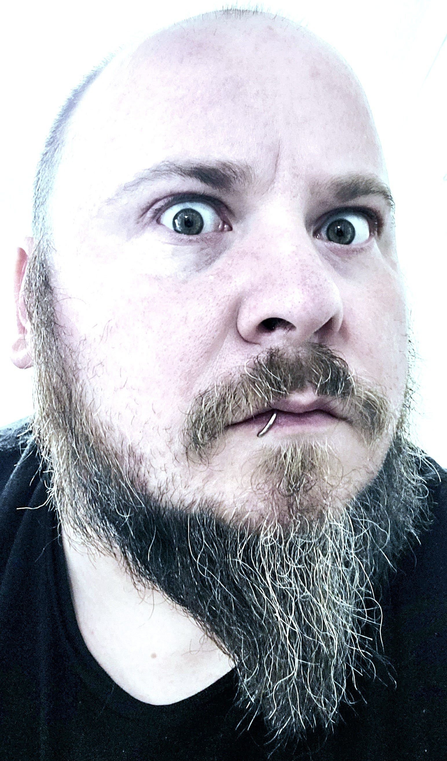 Brandon Lutz – Medium