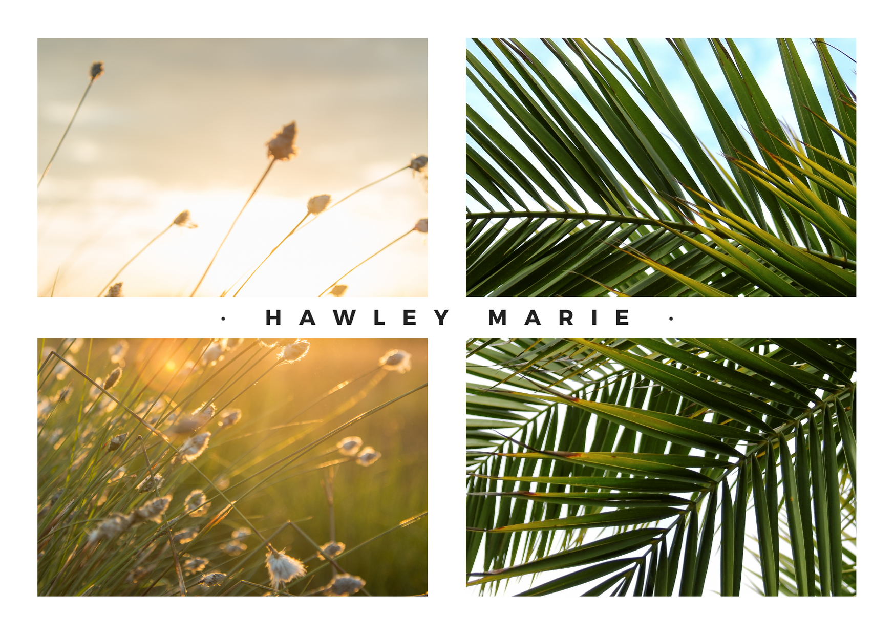 Hawley Marie – Medium