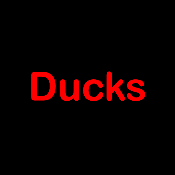 ON Chain Duck – Medium
