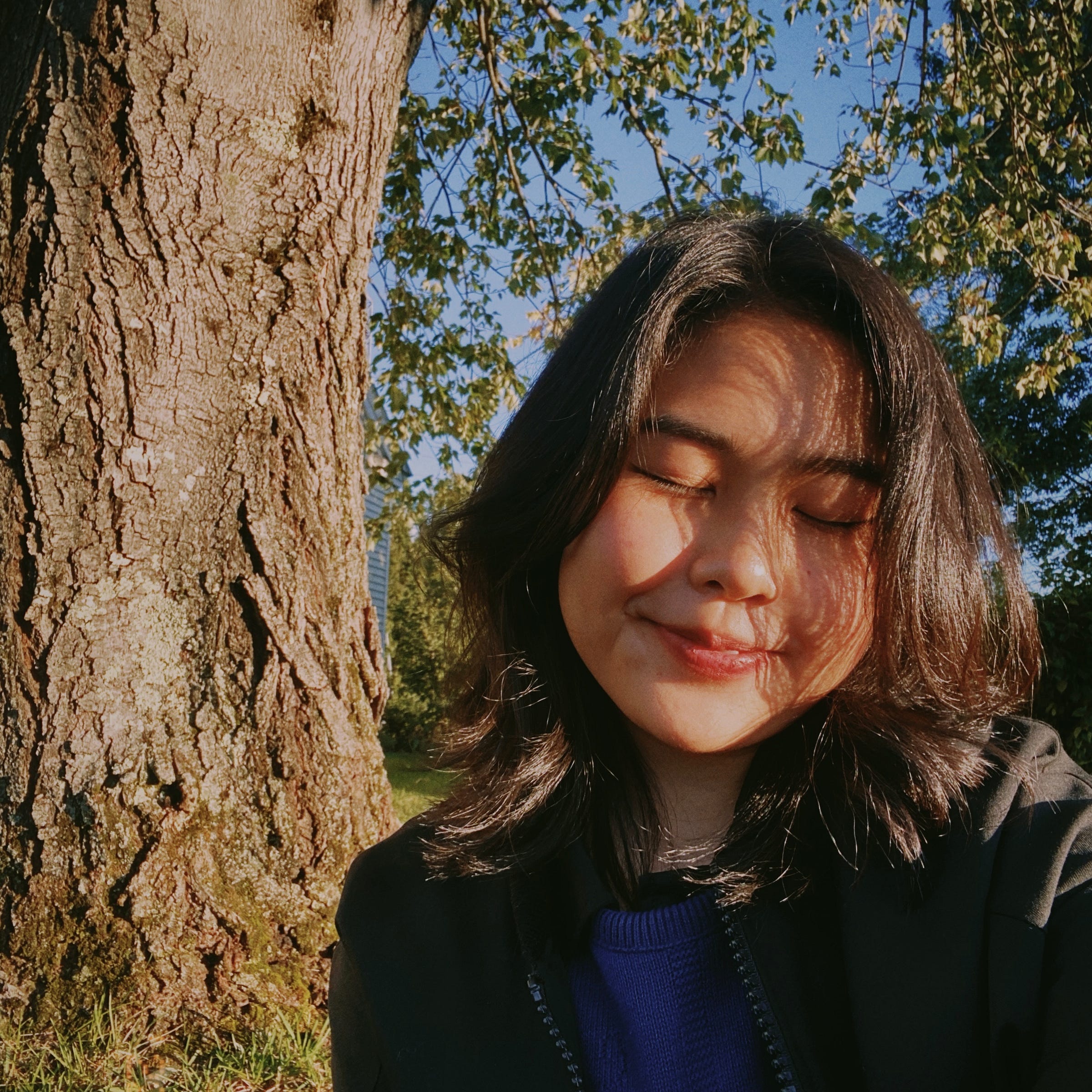 About – Ava Shi – Medium