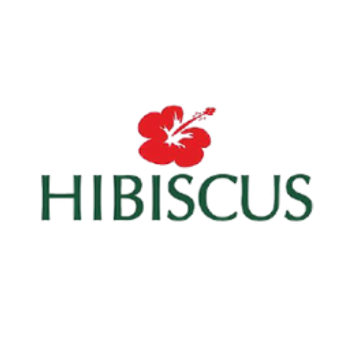 Spa Hibiscus India – Medium