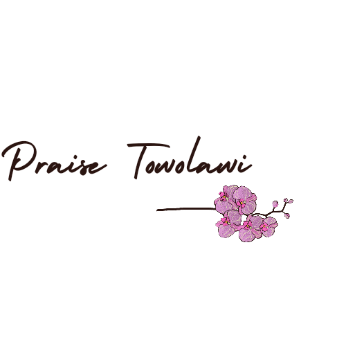 Praise Towolawi on Medium curated some lists
