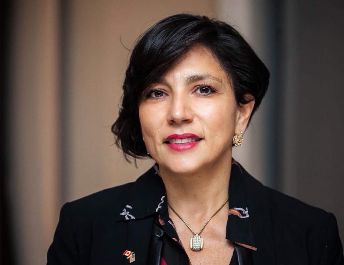 Dima Elissa – Medium