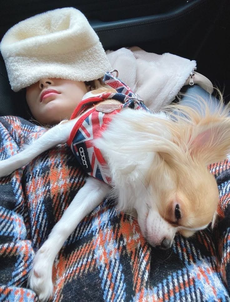 Chevelle Tracy. – Medium