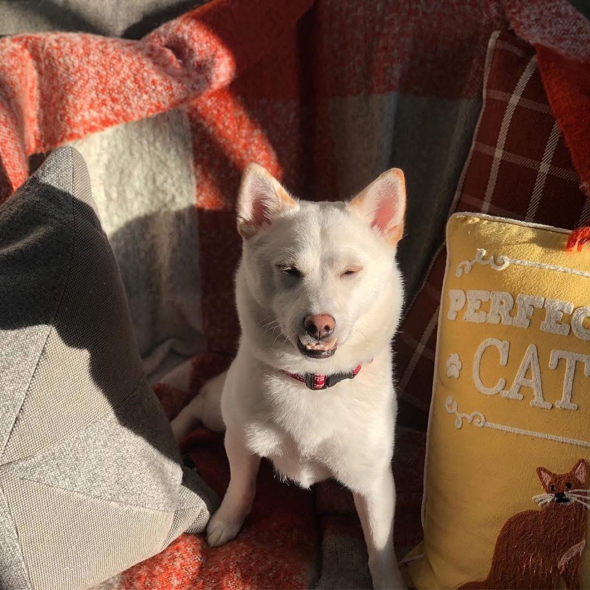 Dr. River Murphy – Medium