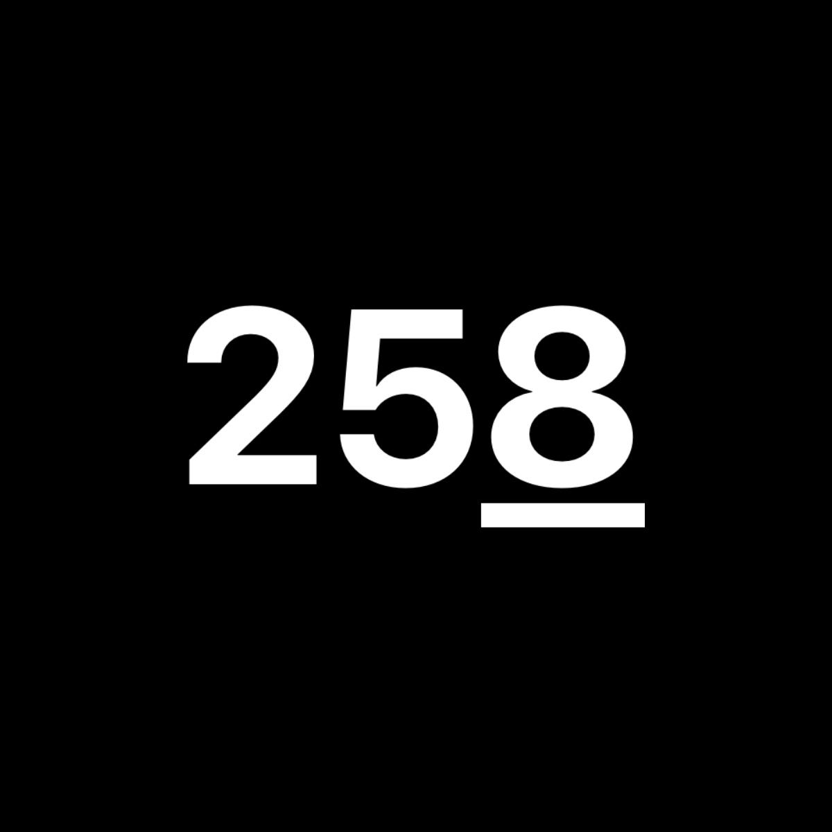 258 Journal – Medium