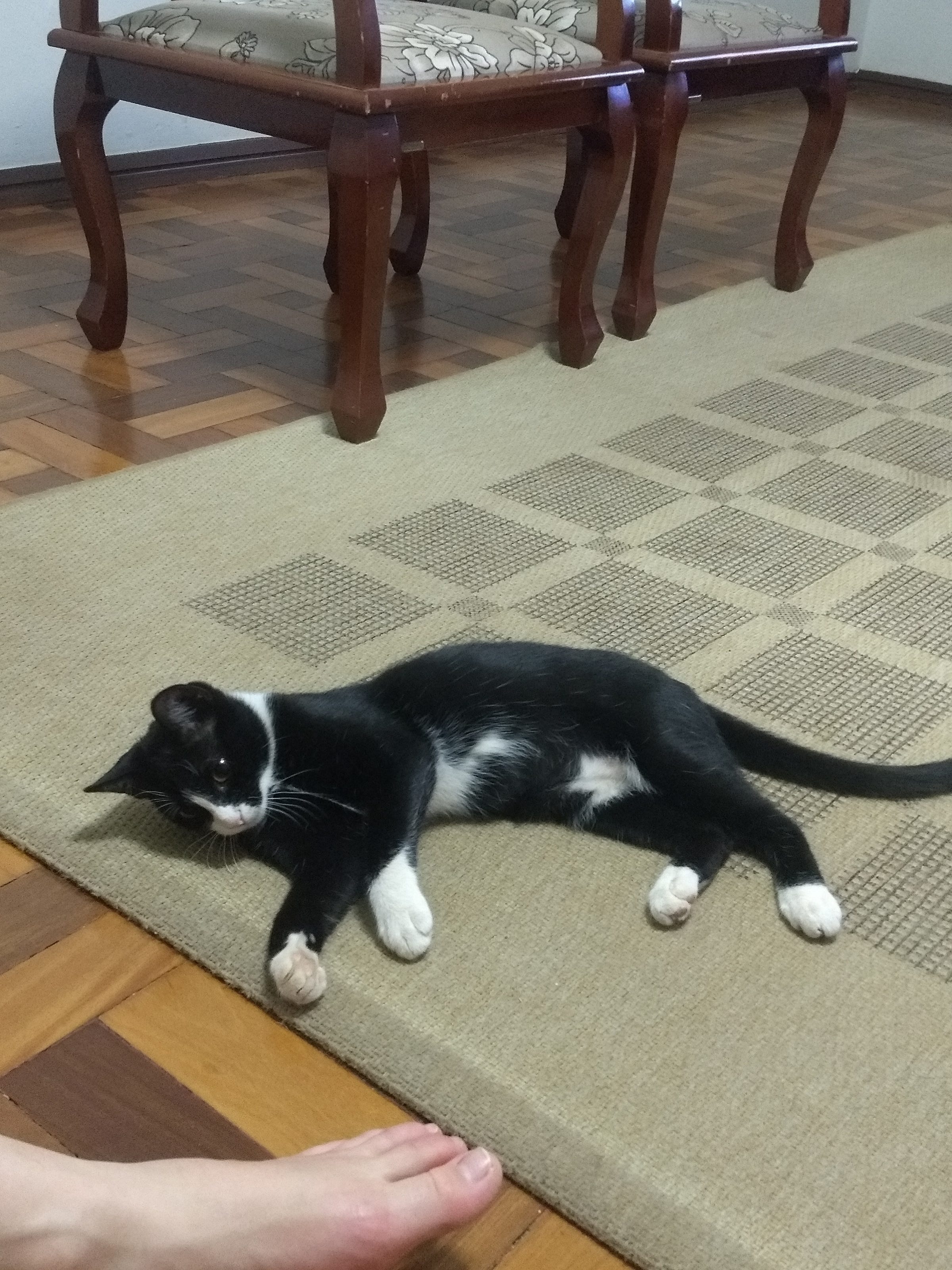 Sabrina Cunha – Medium