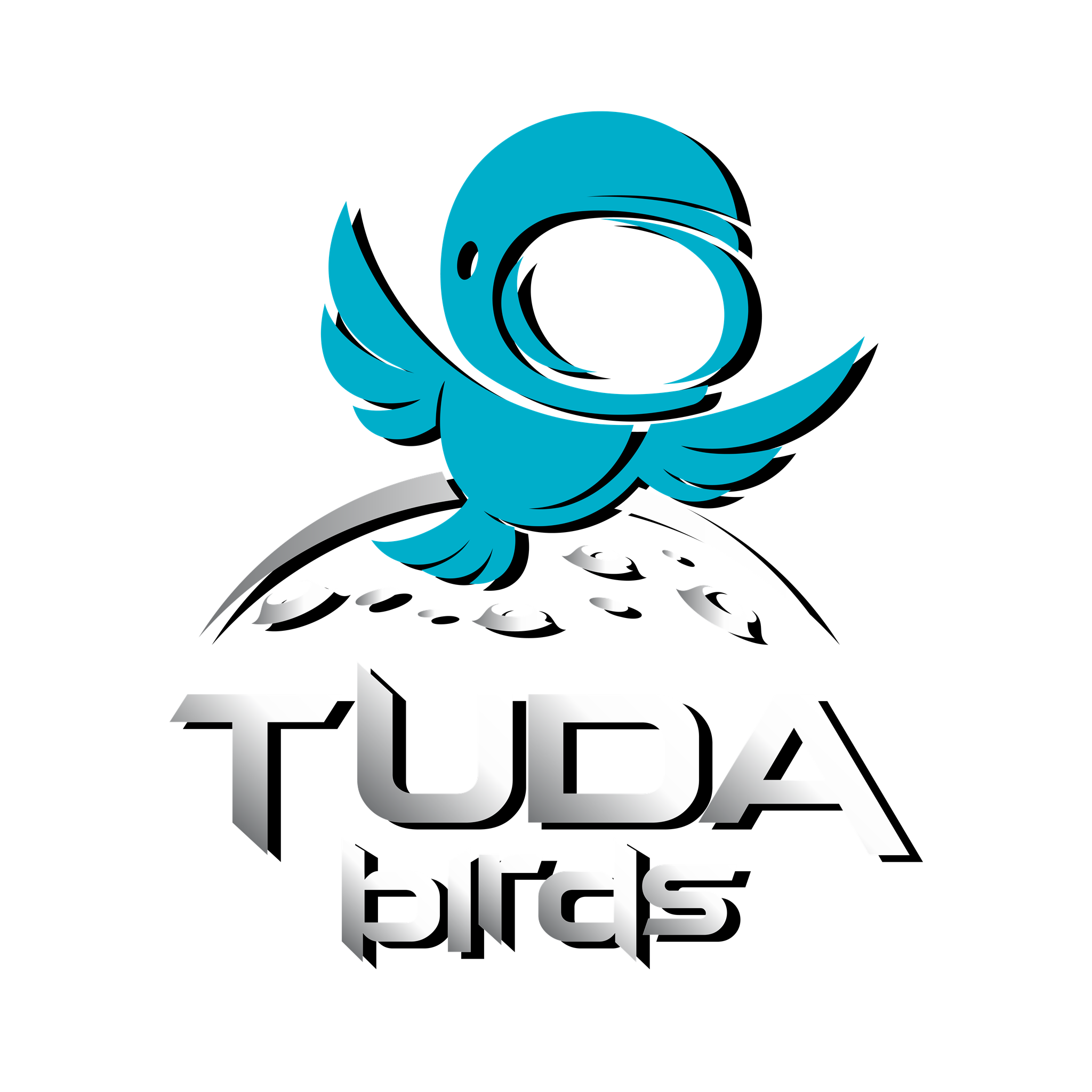 About – tudaBirds metaNest – Medium