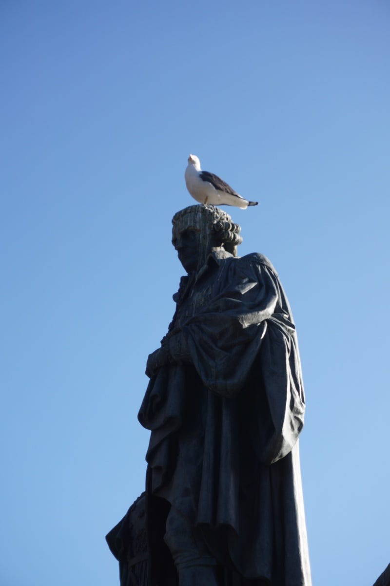 About – Damian Zain – Medium