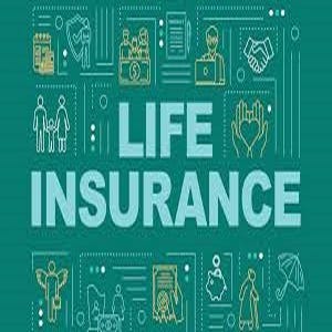 Joy Life Insurance – Medium