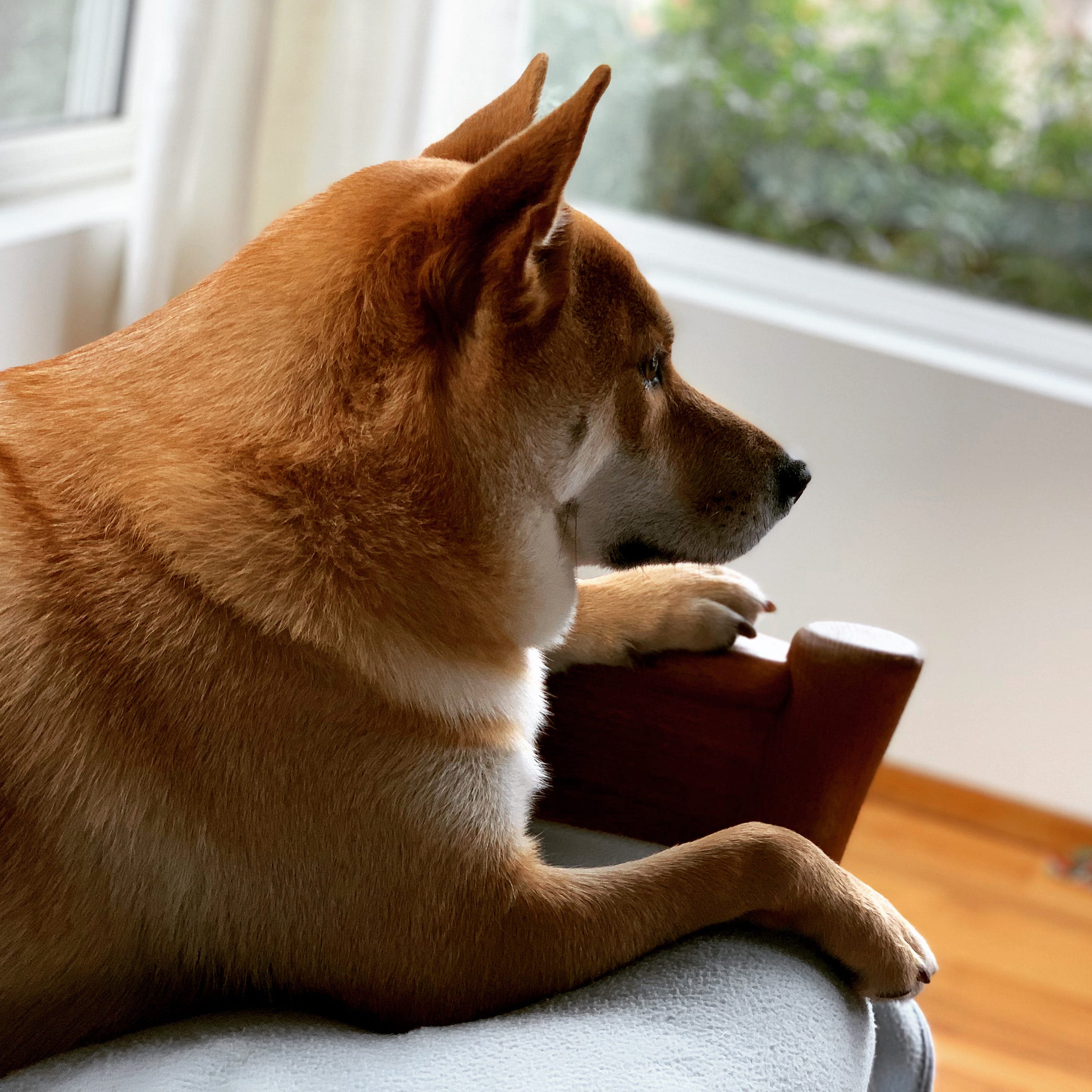 About Rocky Chen Medium