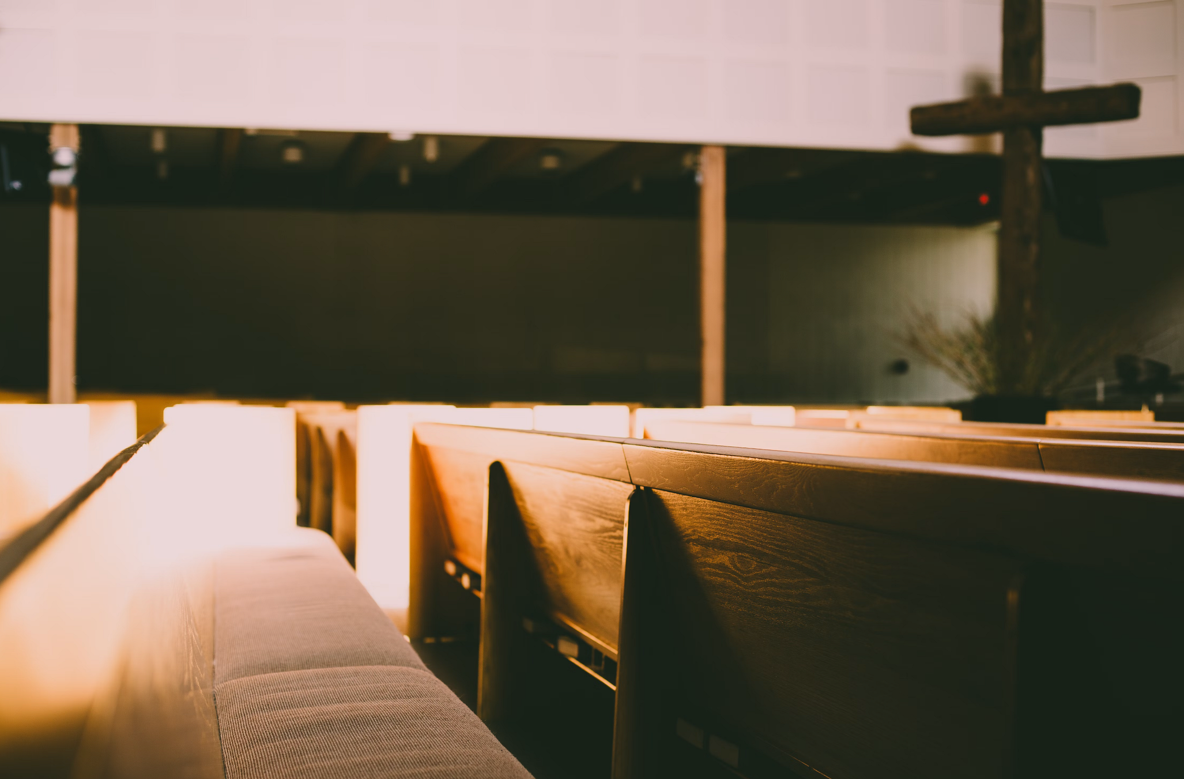 The Back Pew – Medium