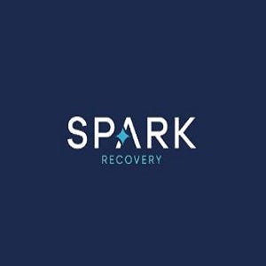 Spark Recovery – Medium